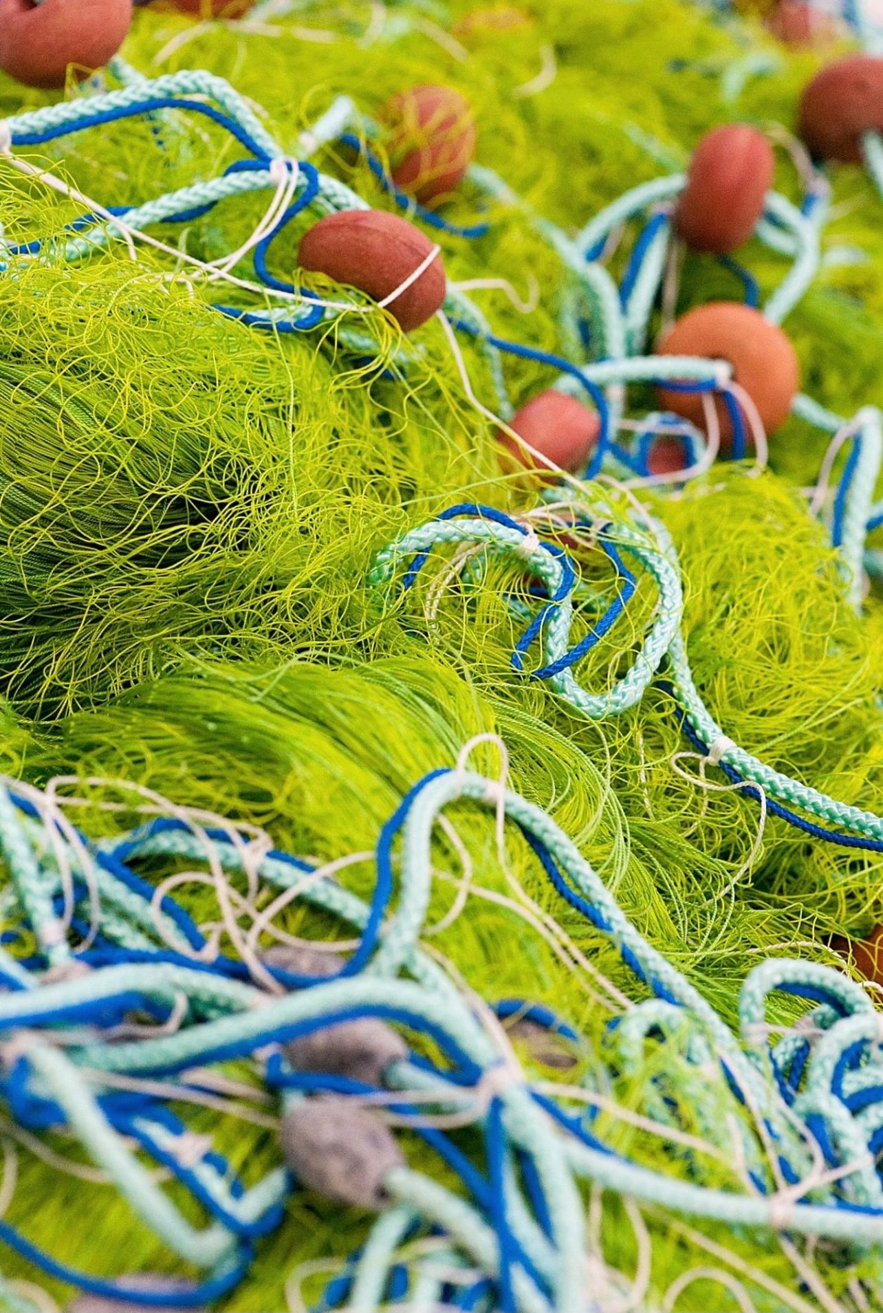 Gill Nets - Δίχτυα Δίοπας